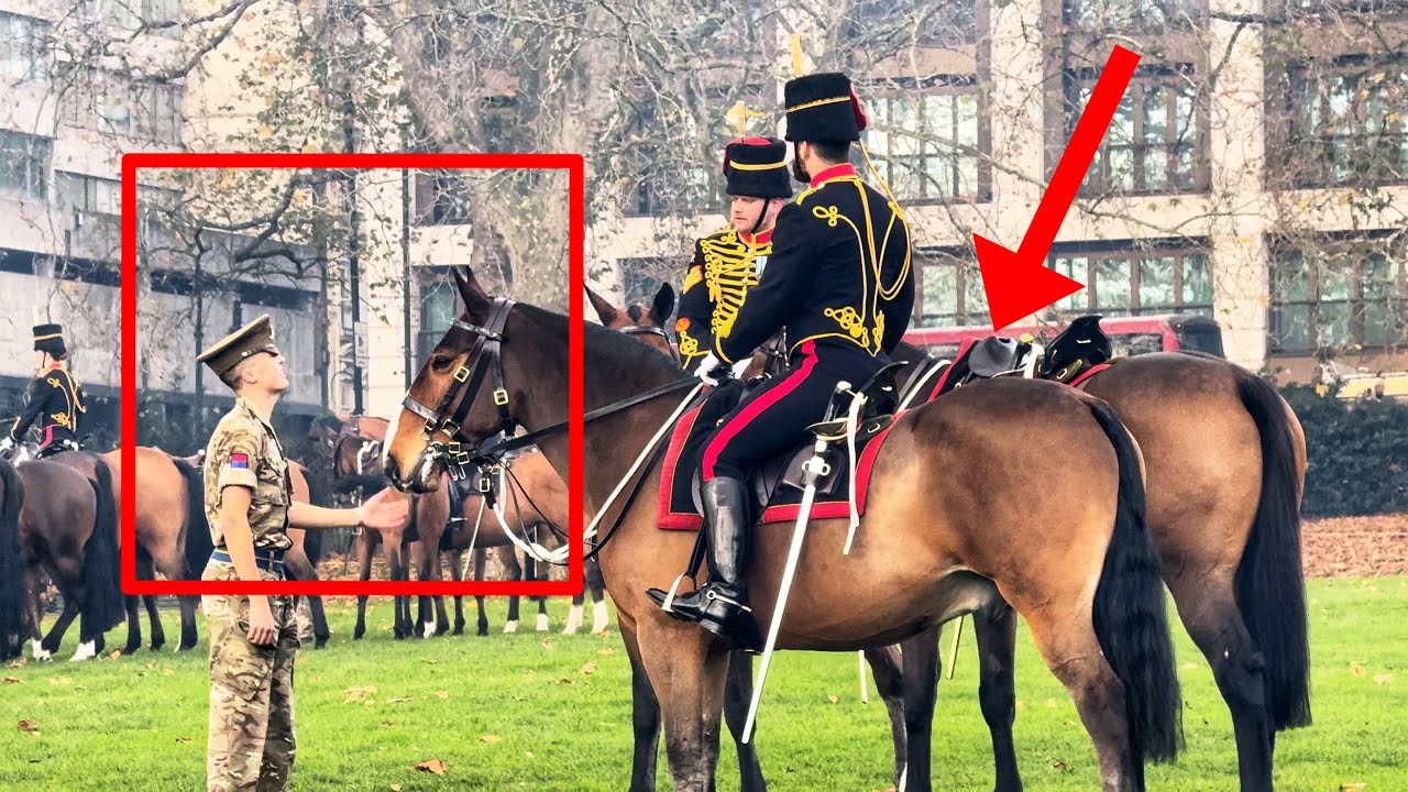 Powerful RARE Tactics used By Royal Guards to Keep the Horses Safe ...