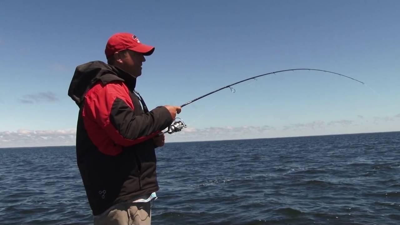Tony Roach Mille Lacs Lake Mid June Report 2016 - YouTube