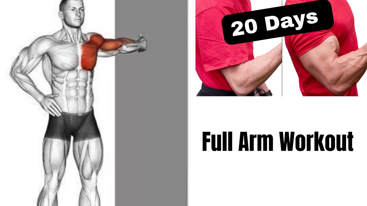 Full Arm Workout - 11 Exercises To Make Your Arms Big And Perfect - YouTube