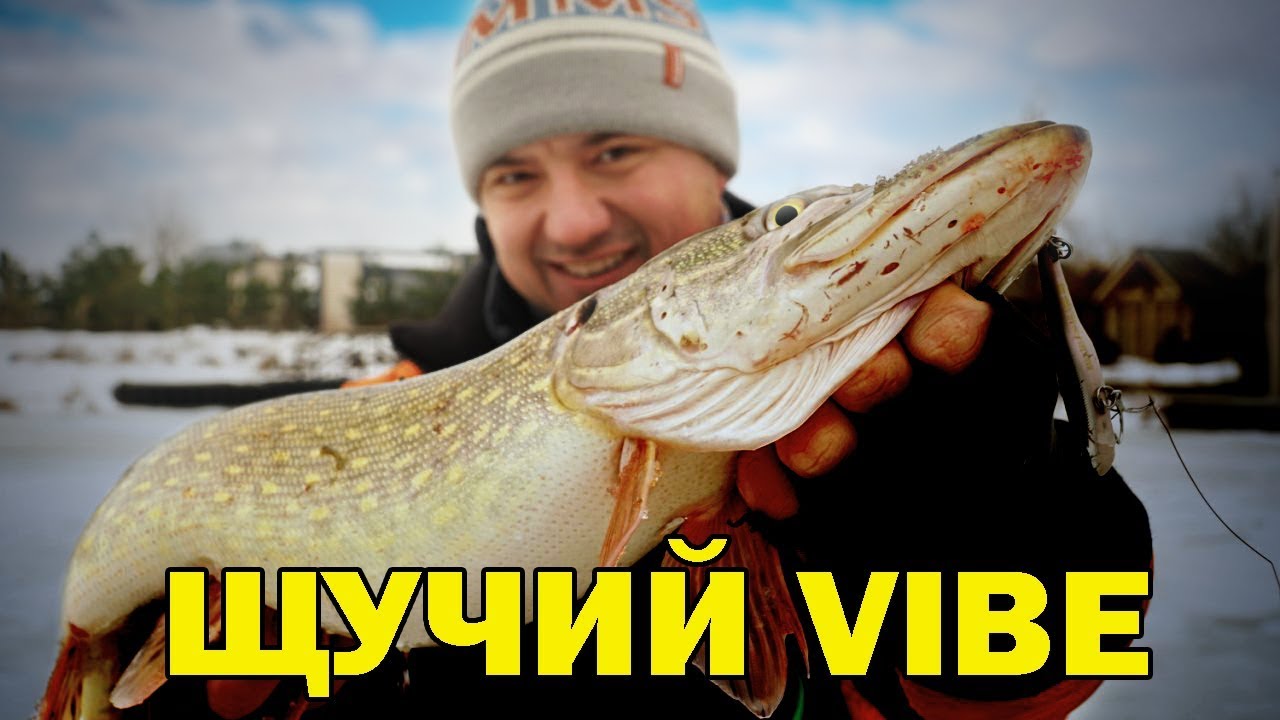 Раттлин на щуку. Результативная проводка! Я такого не ожидал!=) - YouTube