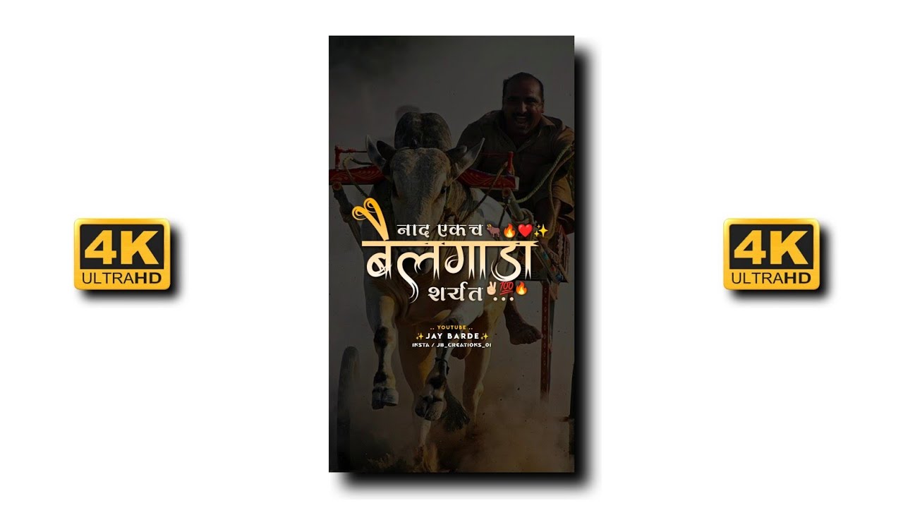 New Bailgada Sharyat Status | "नाद‌ एकच बैलगाडा शर्यत" | Bailgada ...