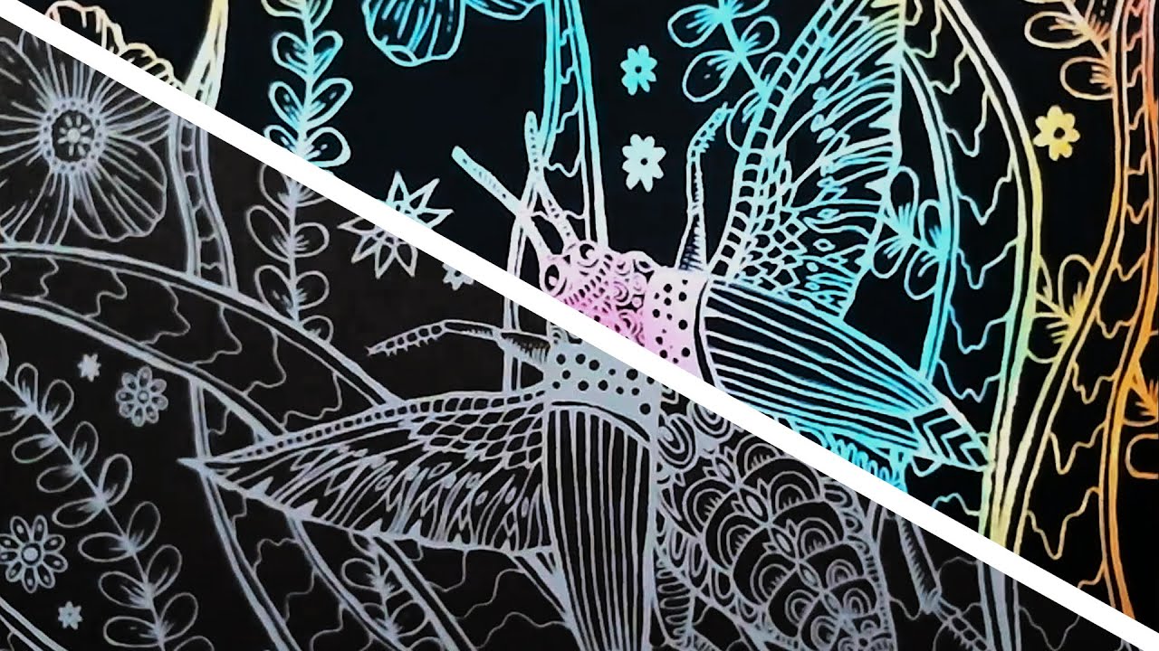 Scratch Art #4 | Beetle in Tall Grass - YouTube