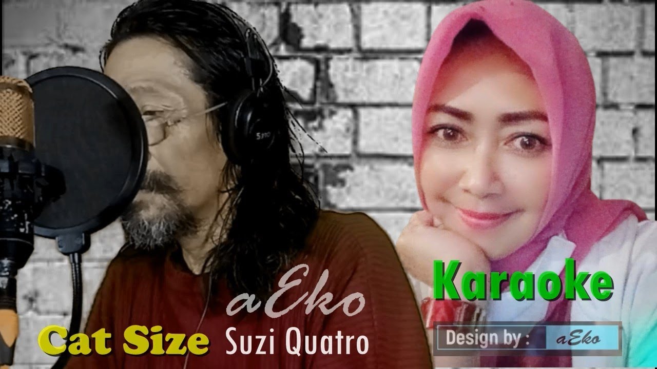 (Karaoke) Cat Size - Suzi Quatro cover aEko - YouTube