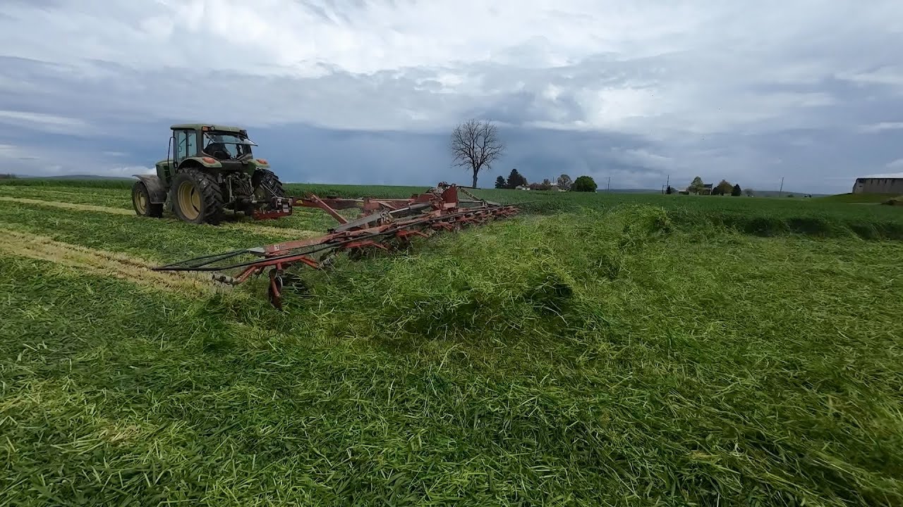 Mowing Winter Forage - YouTube
