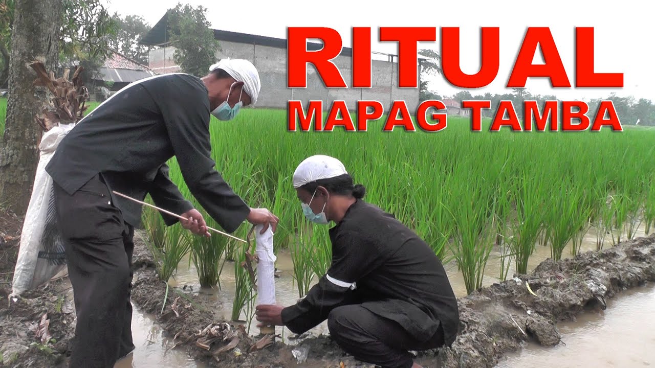 RITUAL MAPAG TAMBA ( Tradisi Indramayu ) - YouTube