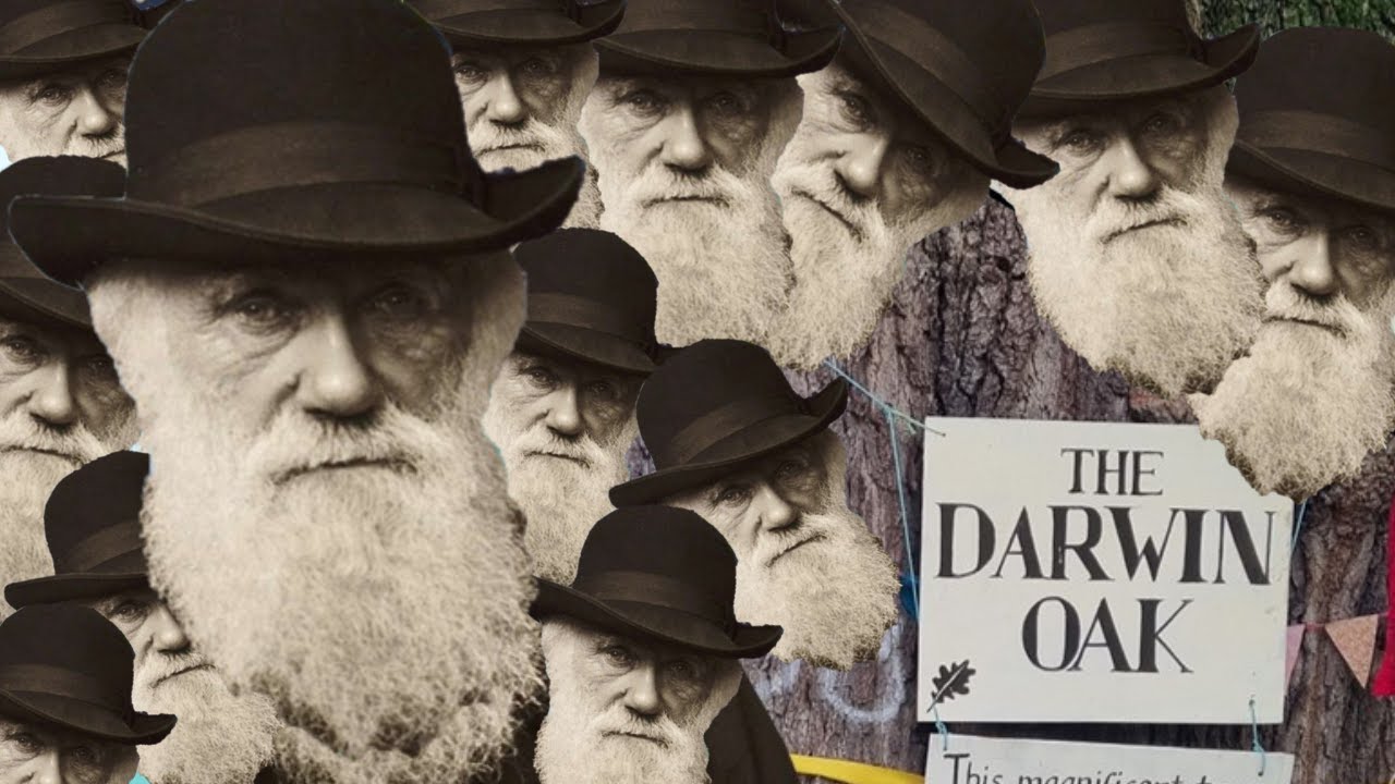 Petition update · 101 Darwinians A World Record · Change.org · Change.org