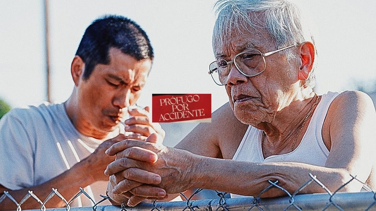 PROFUGO POR ACCIDENTE TRAILER Official Español Latino 2025 - YouTube