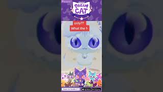 my your and go dream cat paradise 2 on the world meme