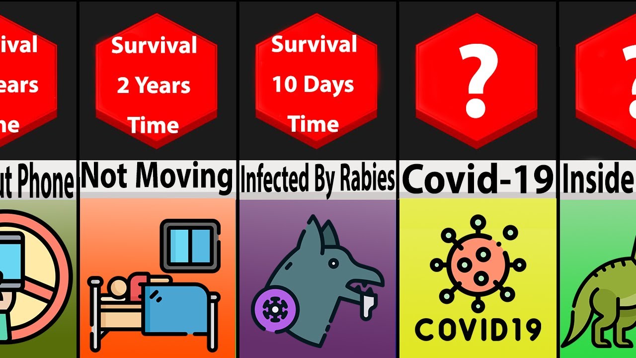 Comparison How Long Until You Die YouTube