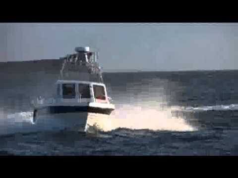 Warrior 175 - YouTube