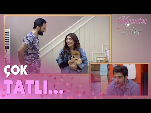 Damat Adayları Onur'un Hediyesinden Çok Etkilendi  - Kısmetse Olur 391.Bölüm