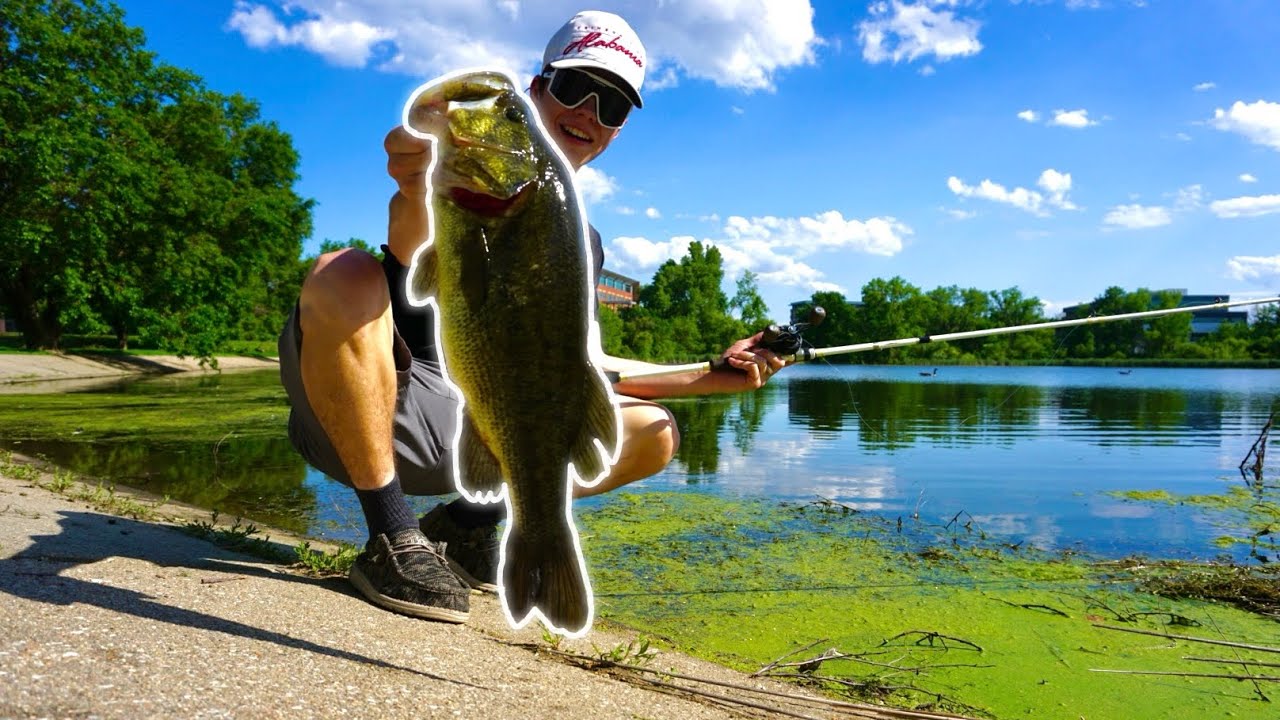 Sneaking into Rich Neighborhood Pond for GIANT Bass!! - YouTube