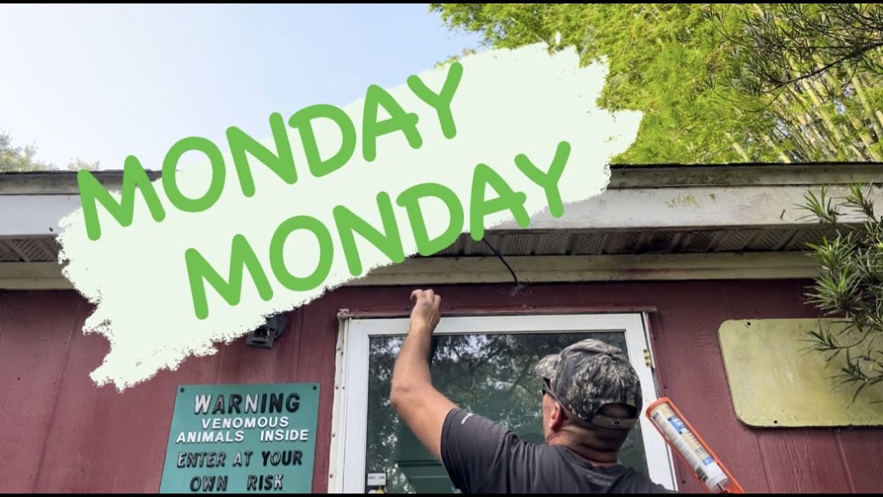 MONDAY MONDAY - YouTube