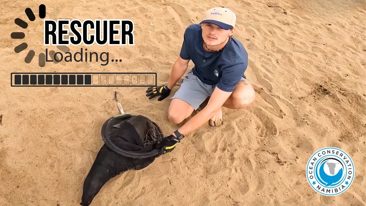 From Rookie to Rescuer: Damian Faces His First Challenge - YouTube