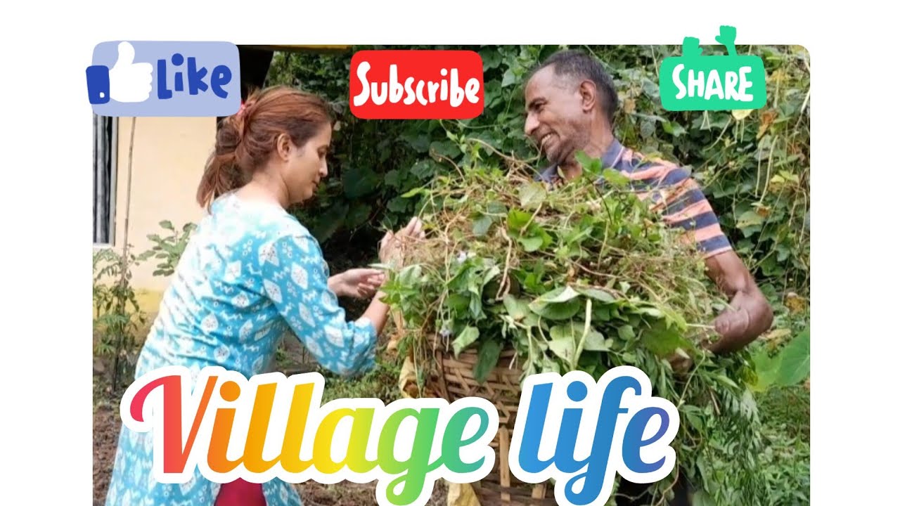 Exploring village life - YouTube