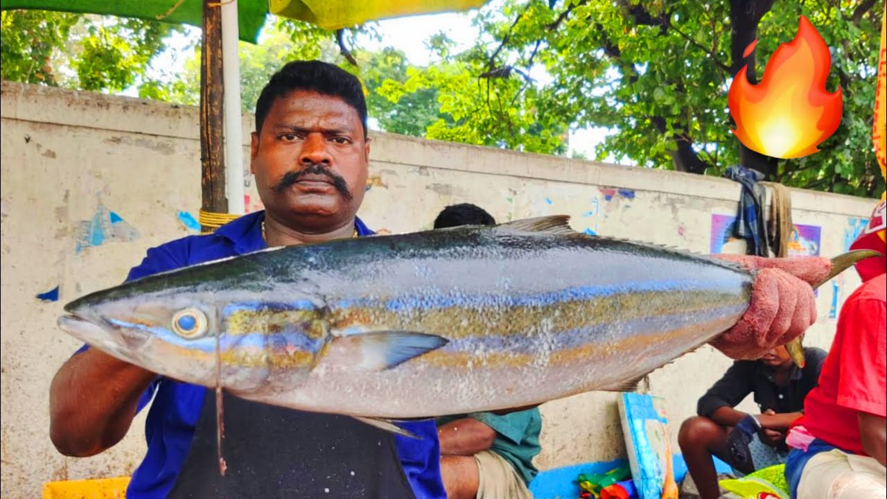VERY RARE!!! RAINBOW RUNNER FISH🔥| KASIMEDU SELVAM FISH CUTTING | CKFC ...