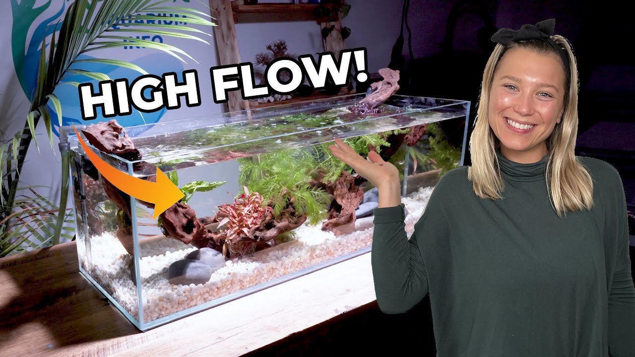 River Style Aquascape Tutorial with High Flow - YouTube