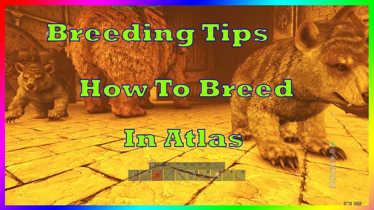 Atlas- How To Breed I Atlas Breading Tips For Beginners I Top Breading ...