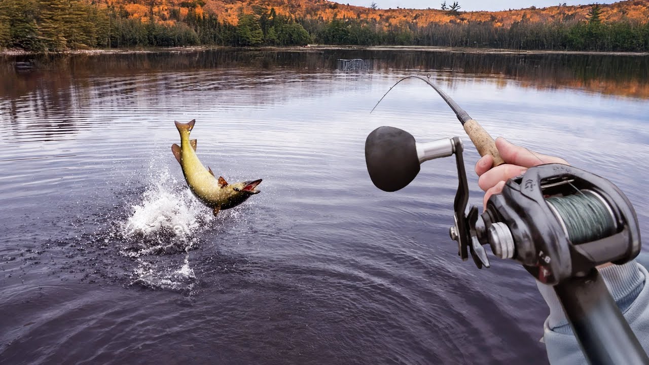 The Best Muskie Fishing Day Of My life! -- MUSKY MAYHEM - YouTube