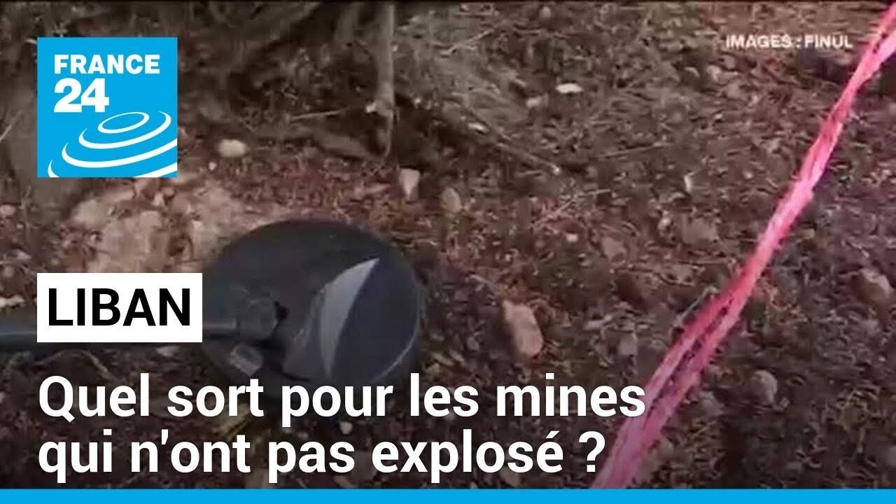 Liban : quel sort pour les mines qui n'ont pas explosé ? • FRANCE 24 ...