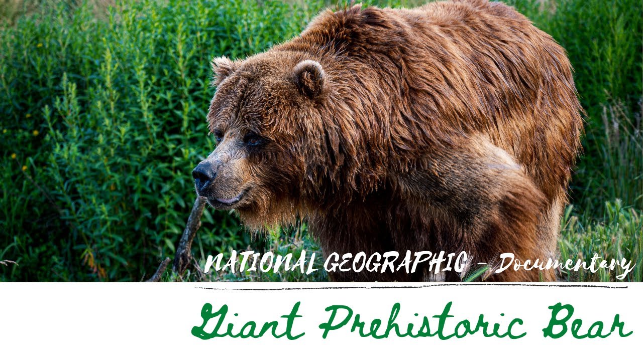 Giant Prehistoric Bear Documentary - YouTube