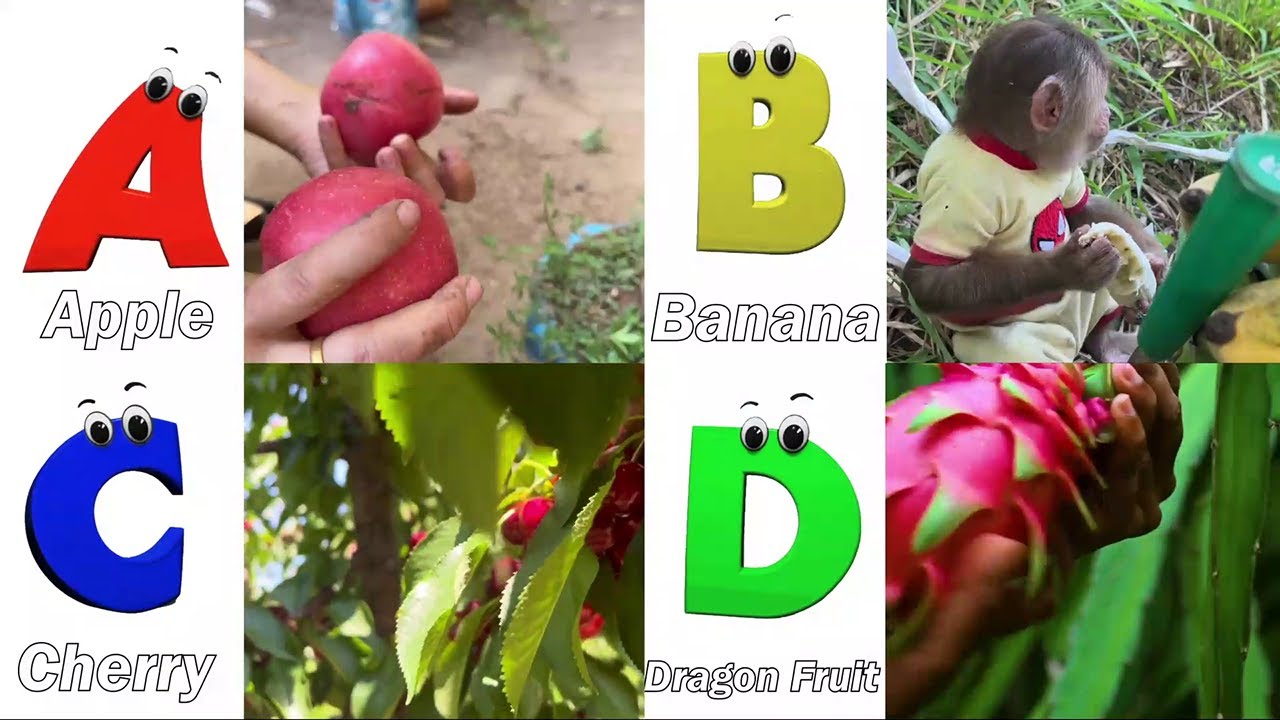 Fruit ABC Song for Kids | ABC Fruit song | Alphabet Fruit song for ...