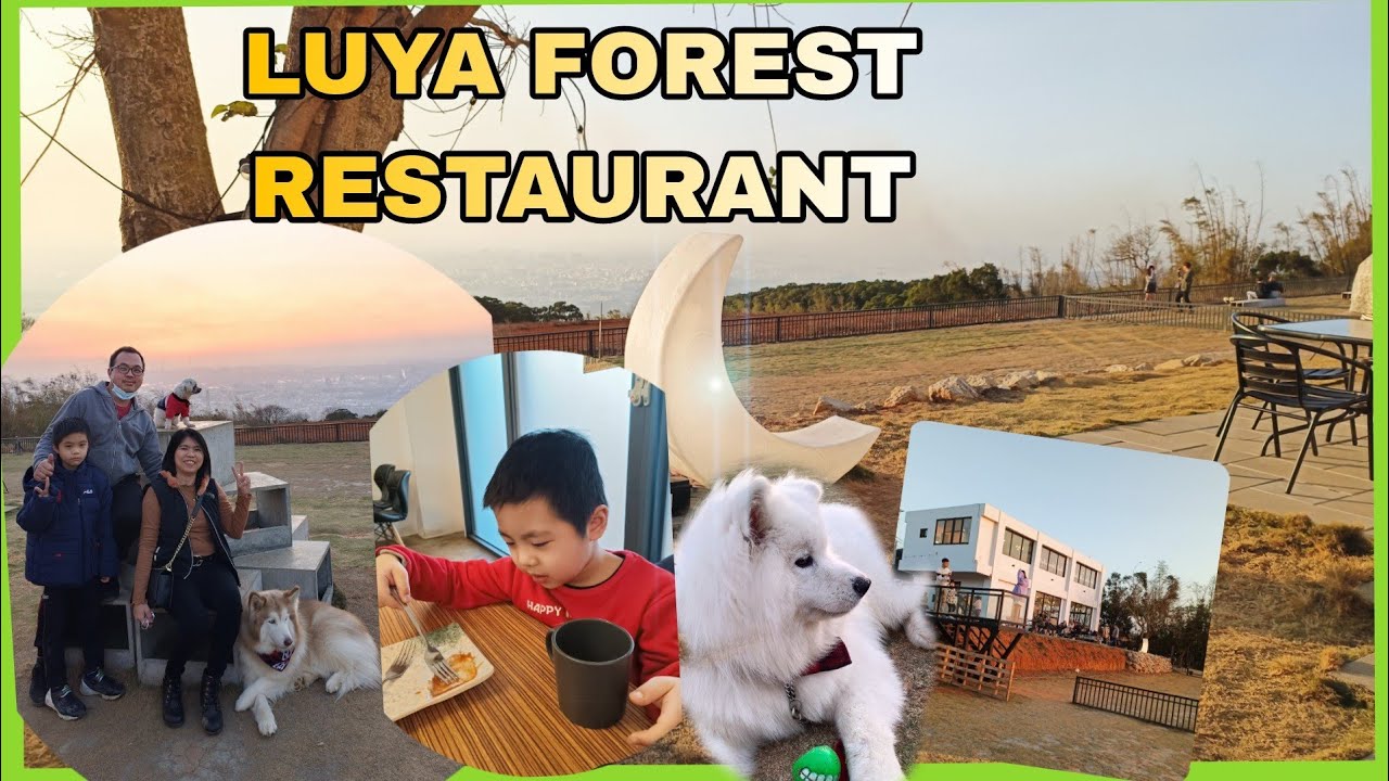 LUYA FOREST RESTAURANT (NICE FOR DOG LOVERS) - YouTube