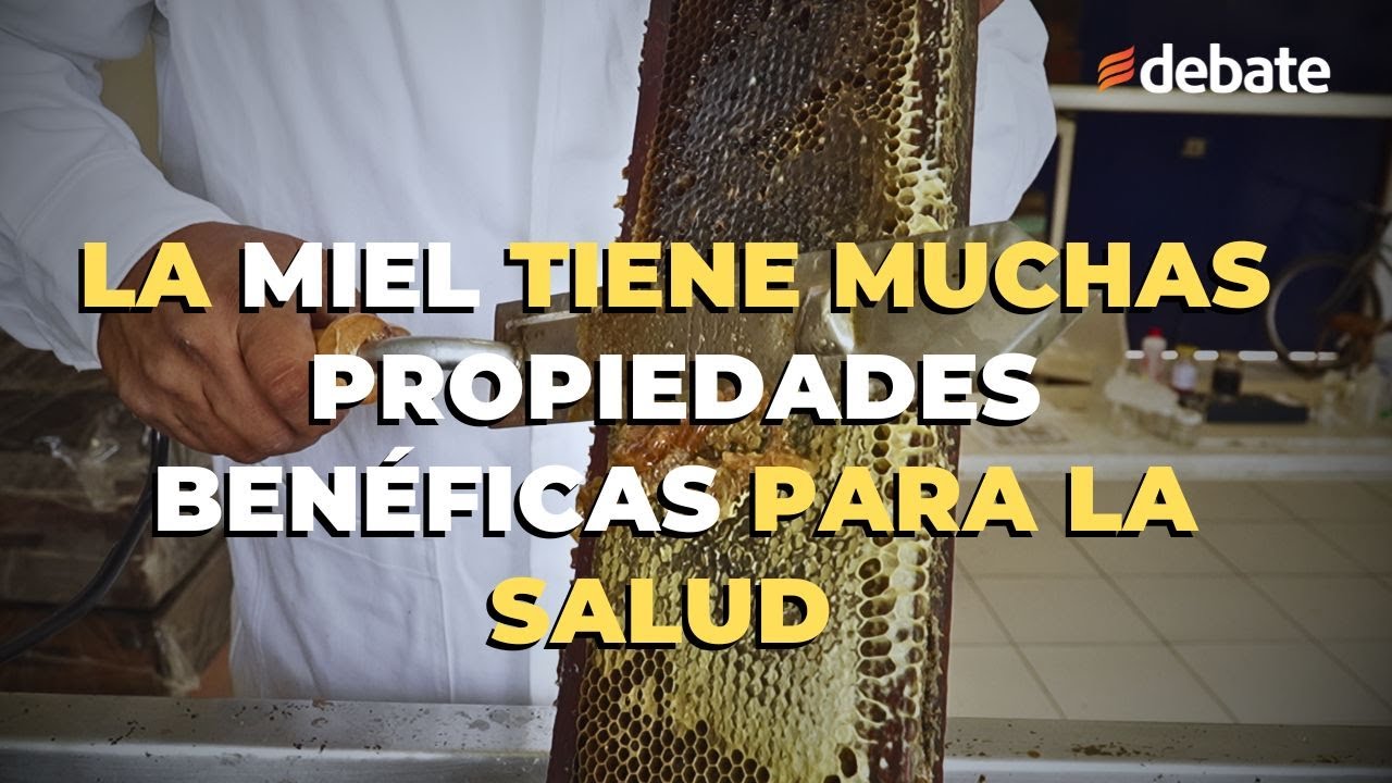 ¿LA MIEL QUE CONSUMES ES NATURAL O ESTÁ ADULTERADA? APRENDE A ...