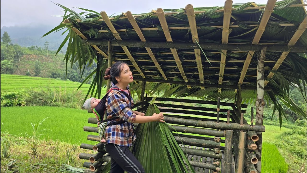 How I built a bamboo barn, preparing to raise more pigs. Daily life of ...