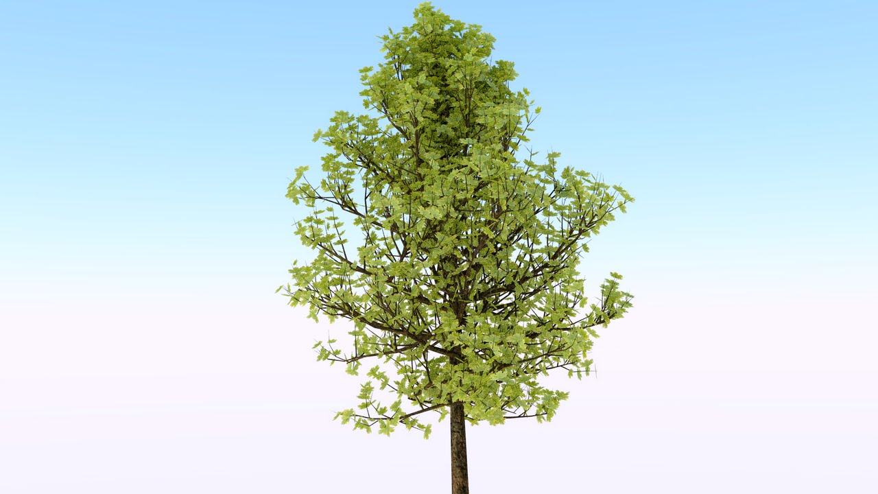 Speed-Art - Animation d'un Arbre sur Blender ! - Tree Animation ! - YouTube