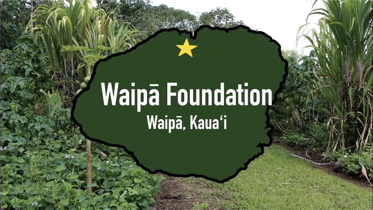 Waipā Foundation | Hawaiʻi Agroforestry Case Studies - YouTube