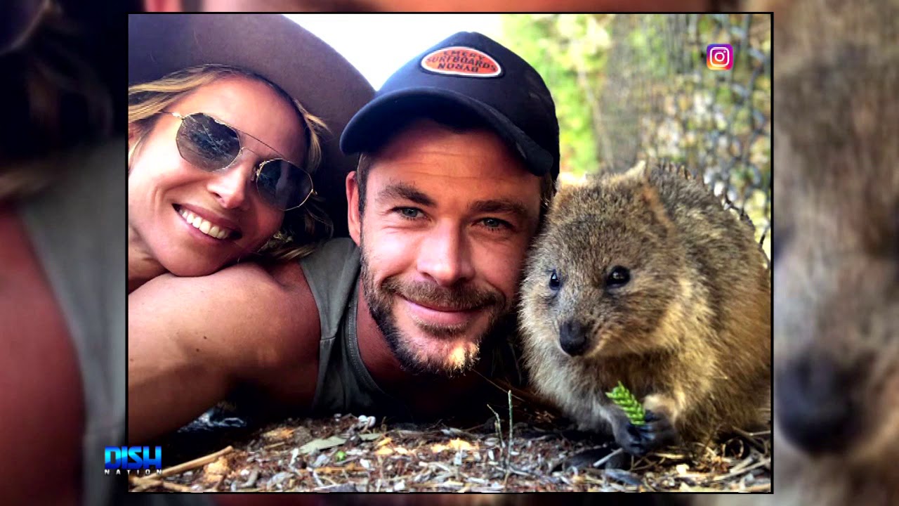 QUOKKA IN LOVE! CHRIS HEMSWORTH LOCKS LIPS IN AUSTRALIA - YouTube