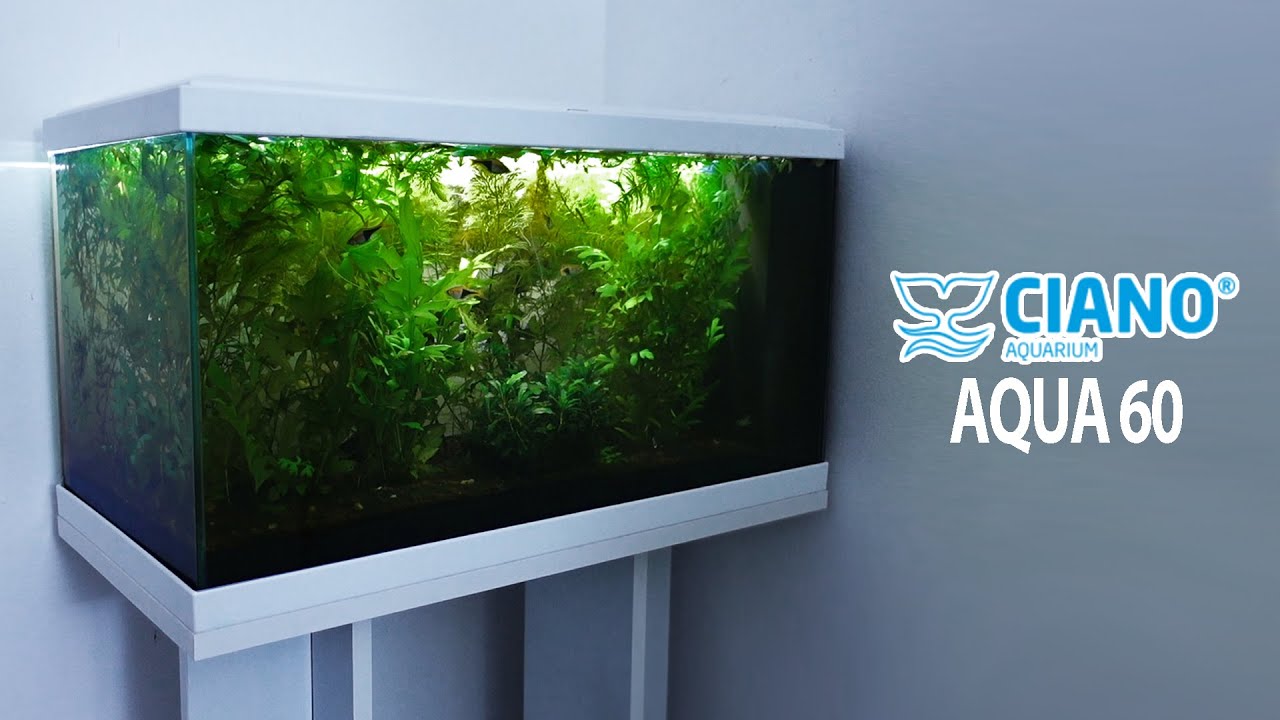 Ciano Aqua 60 LED - Un acquario Completo Entry Level - YouTube