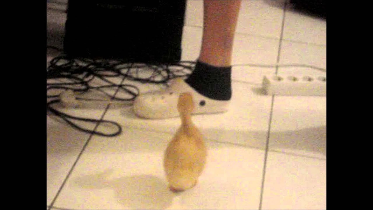 Duckling following human - YouTube