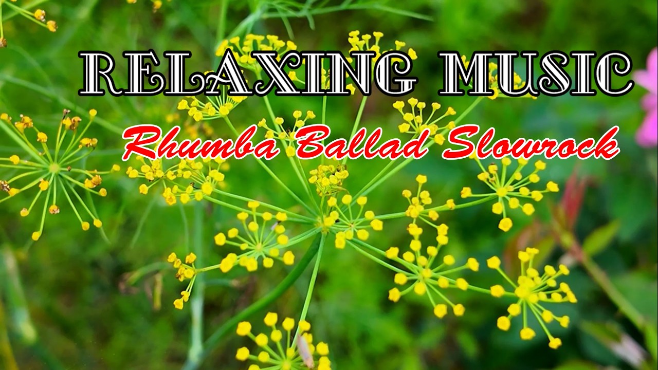New relaxing music helps reduce stress, music beautifies your soul ...