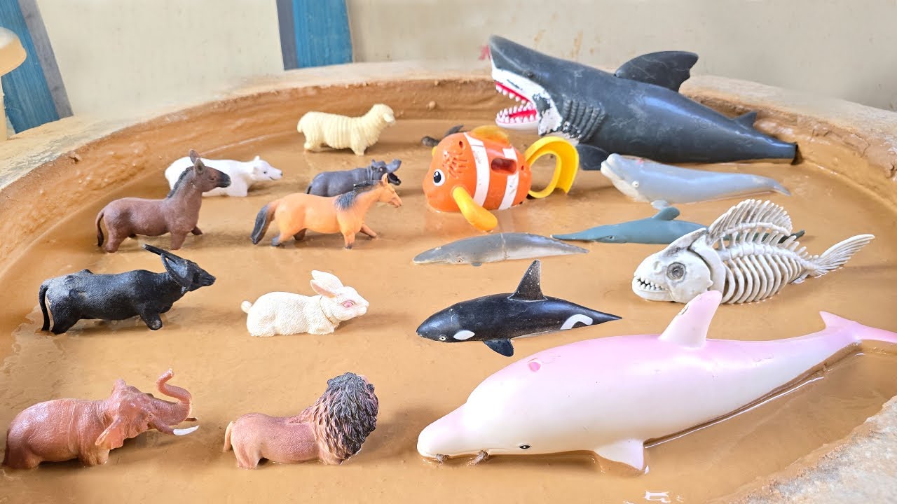 Land and Ocean Legends: The Biggest Sea Creatures and Farm Animals Epic ...