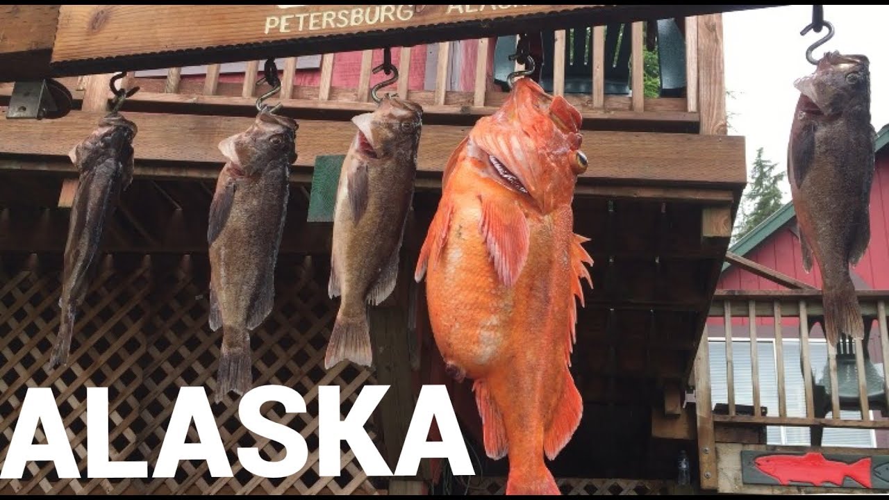 FISHING ALASKA 2017... (BIG FISH) - YouTube