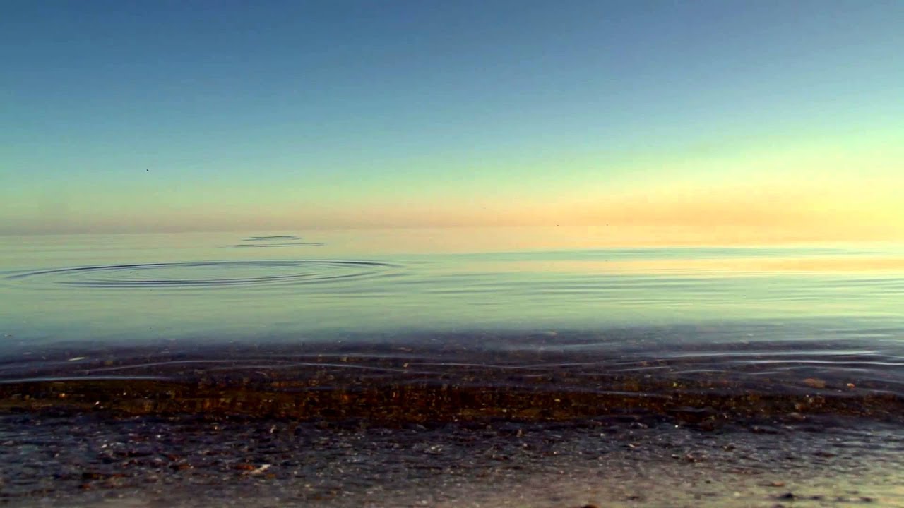 header movie - YouTube