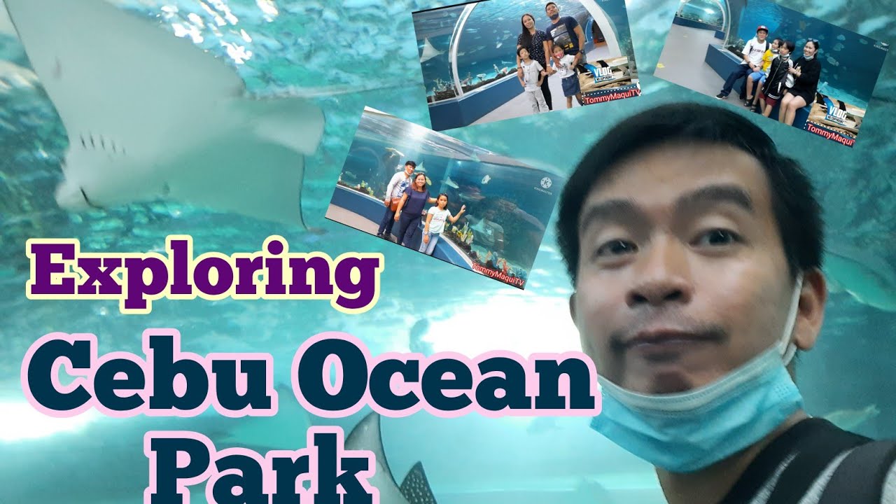 Let's Explore the Breathtaking Beauty of Cebu Ocean Park|Cebu City ...