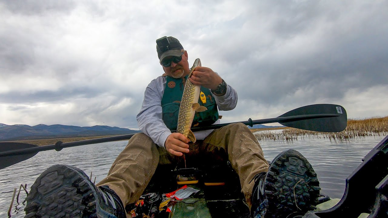 Caught a 20 inch pike on Comins Lake, Nevada on a kayak. - YouTube