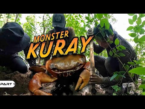 P1 - MONSTER KURAY - EP1486