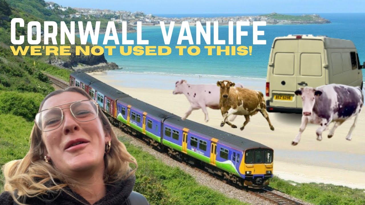WE GOT CHASED BY COWS | living in a van in Cornwall - YouTube