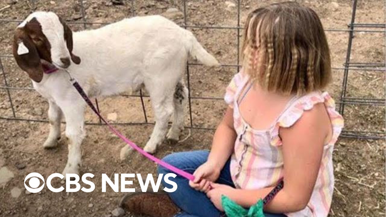 Family sues after 9-year-old girl's goat is slaughtered - YouTube