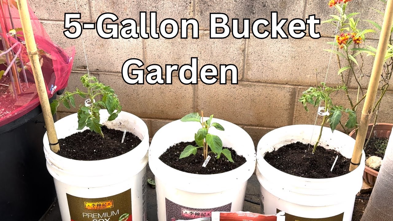 Transform a 5-Gallon Bucket into a Vertical Garden with String Trellis ...