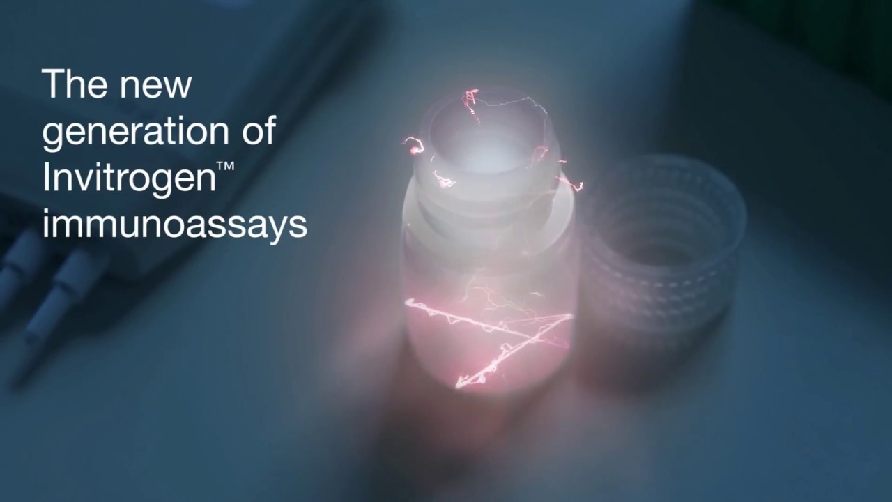 The new generation of Invitrogen Immunoassays - YouTube