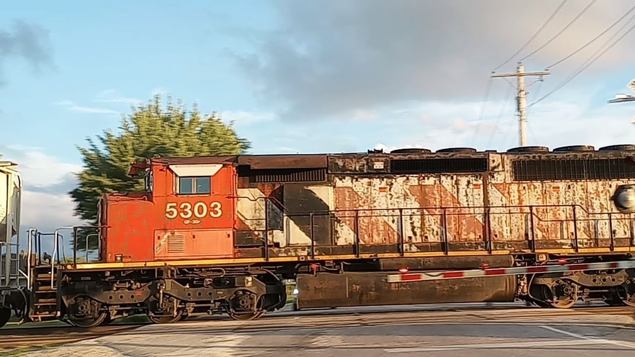 CN zebra 5303 & CN 8006 - YouTube