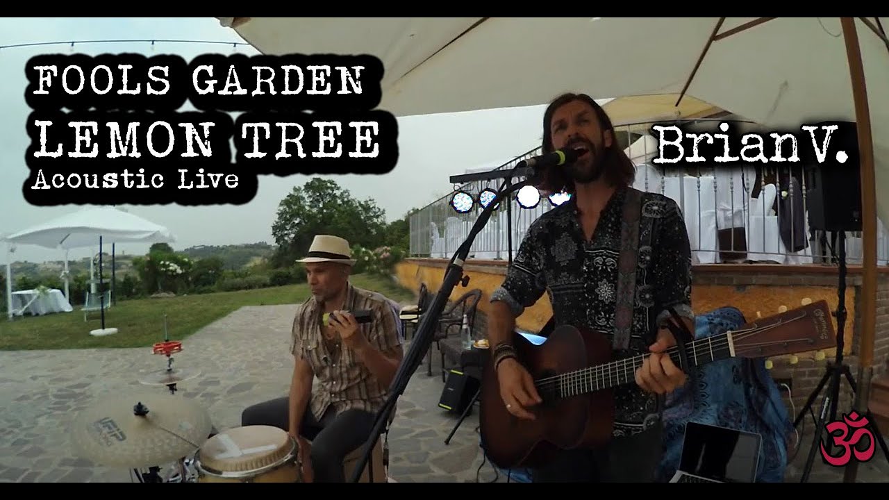 Fools Garden - Lemon Tree (Acoustic Live Cover) - YouTube
