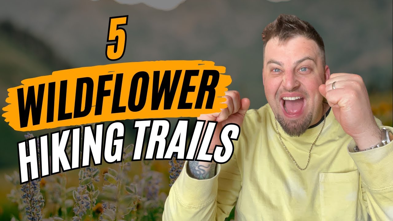 Best Hiking Trails Near Vancouver WA [Top 5 Trails to see Wildflowers ...