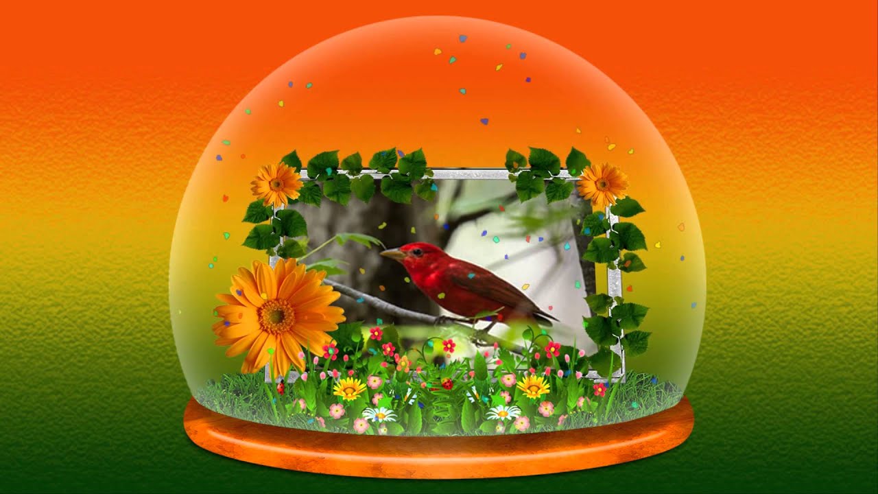 Glass Dome Effect! - YouTube