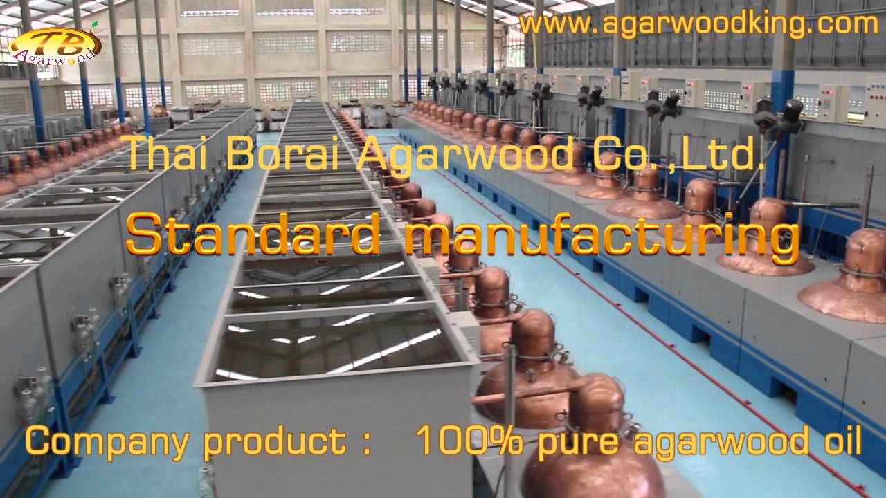 Thai Borai Agarwood Co.,Ltd.,We are the bigest Agarwood oil ...